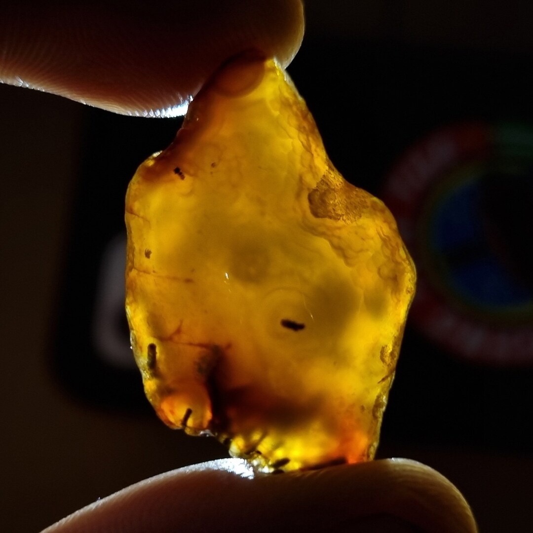 Enhydro Agate With Water Bubbling Inside, Unique Specimen Enhydro Agate ...