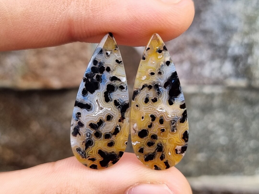 Crystal Palm Root Agate Pair, Palm Root Agate, Rare Agate Gemstone - Etsy