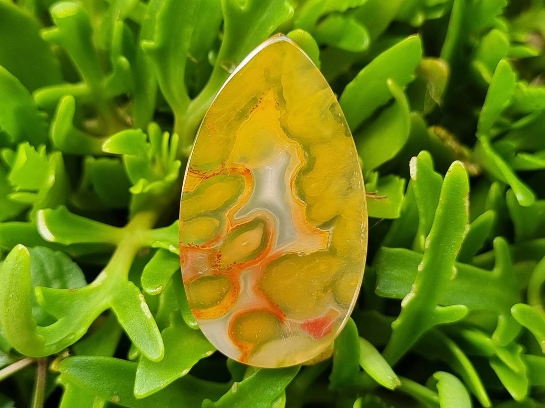Iris Tube Agate Specimen – Rare Rainbow Cabochon (39x22x3) - Etsy