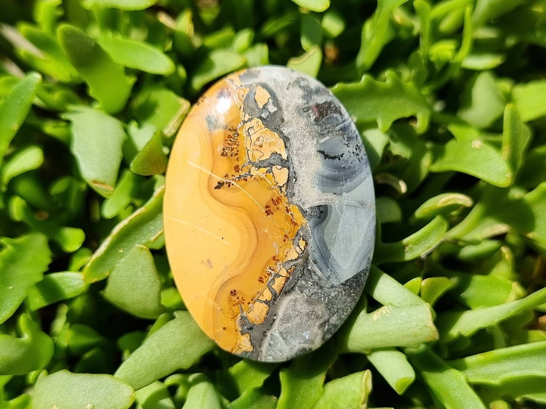 Natural Maligano Sakura Jasper Teardrop Sakura Maligano - Etsy