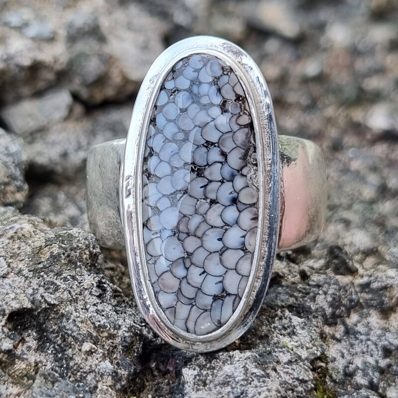 Snakeskin Agate - Etsy