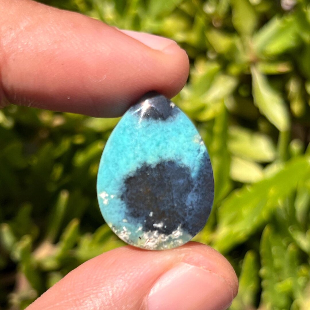 Blue Opal Petrified Wood Pearshape Cabochon - Indonesia West Java ...