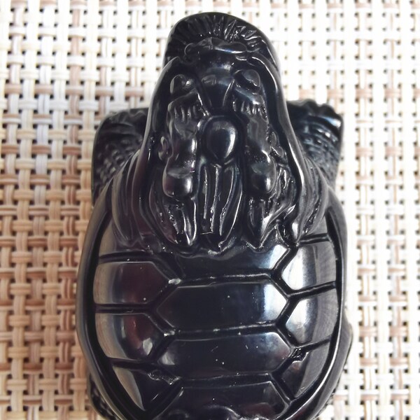 Dragon Turtle - Etsy