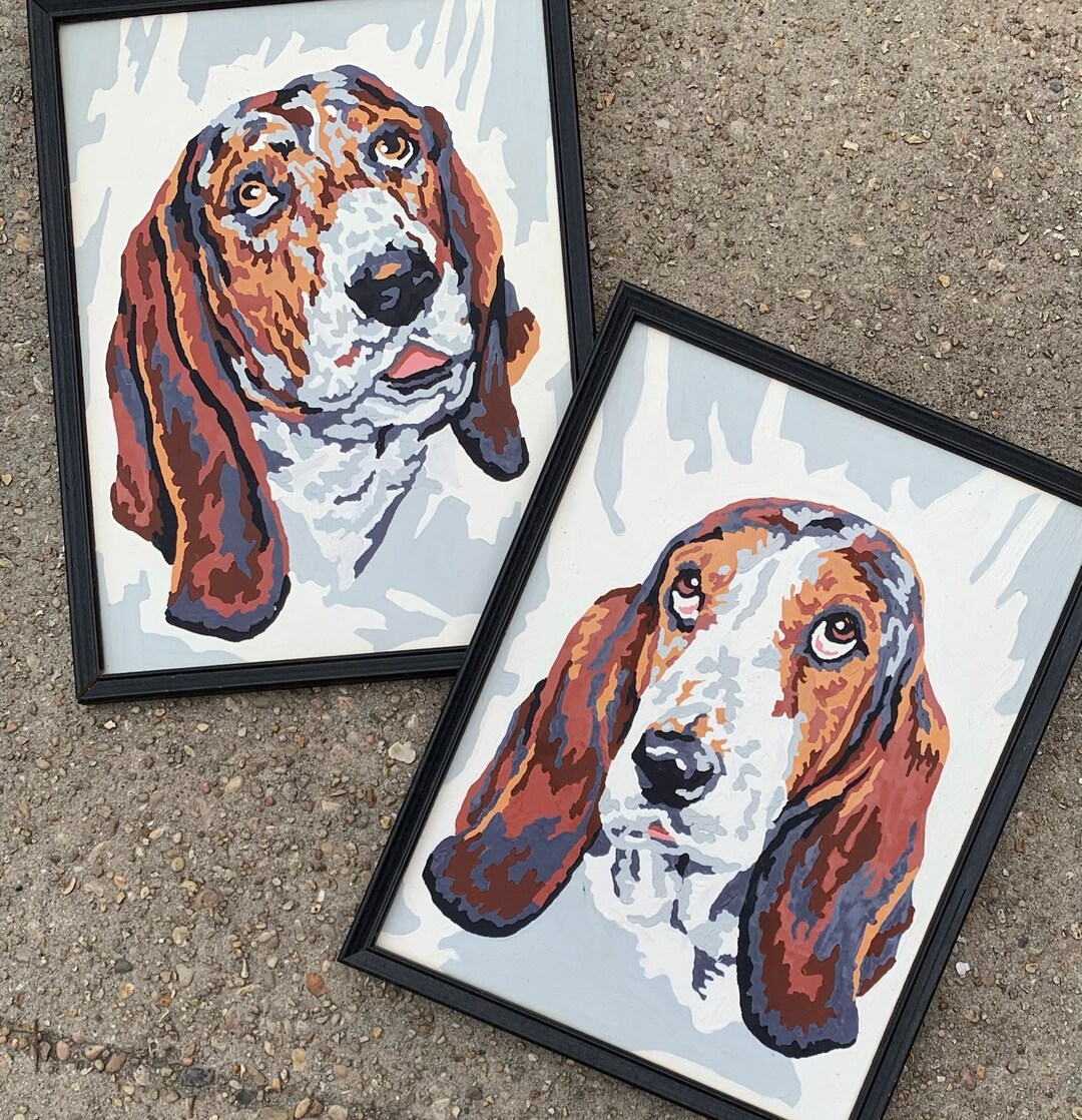 Vintage Paint by Number Pet Portraits | Adorable Bassett Hounds | Retro ...