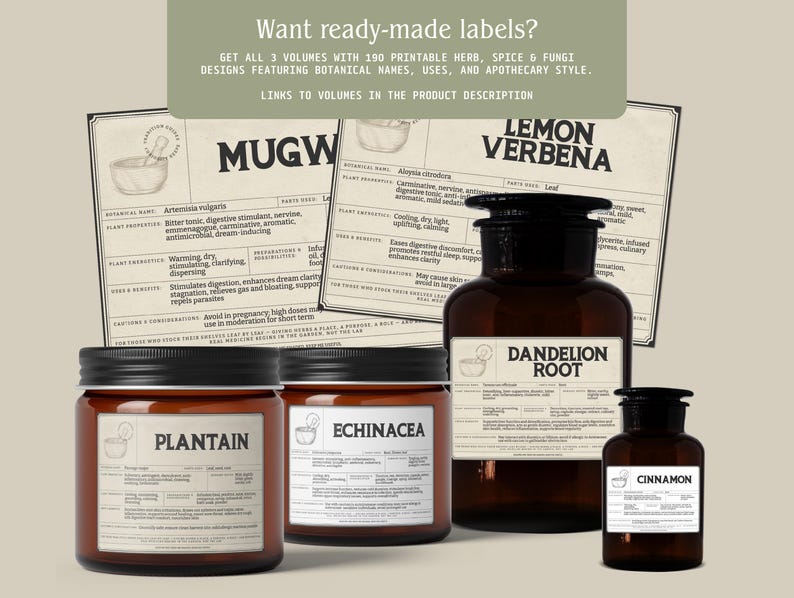 Editable Apothecary Herb Jar Label Canva Template Adaptable Botanical ...