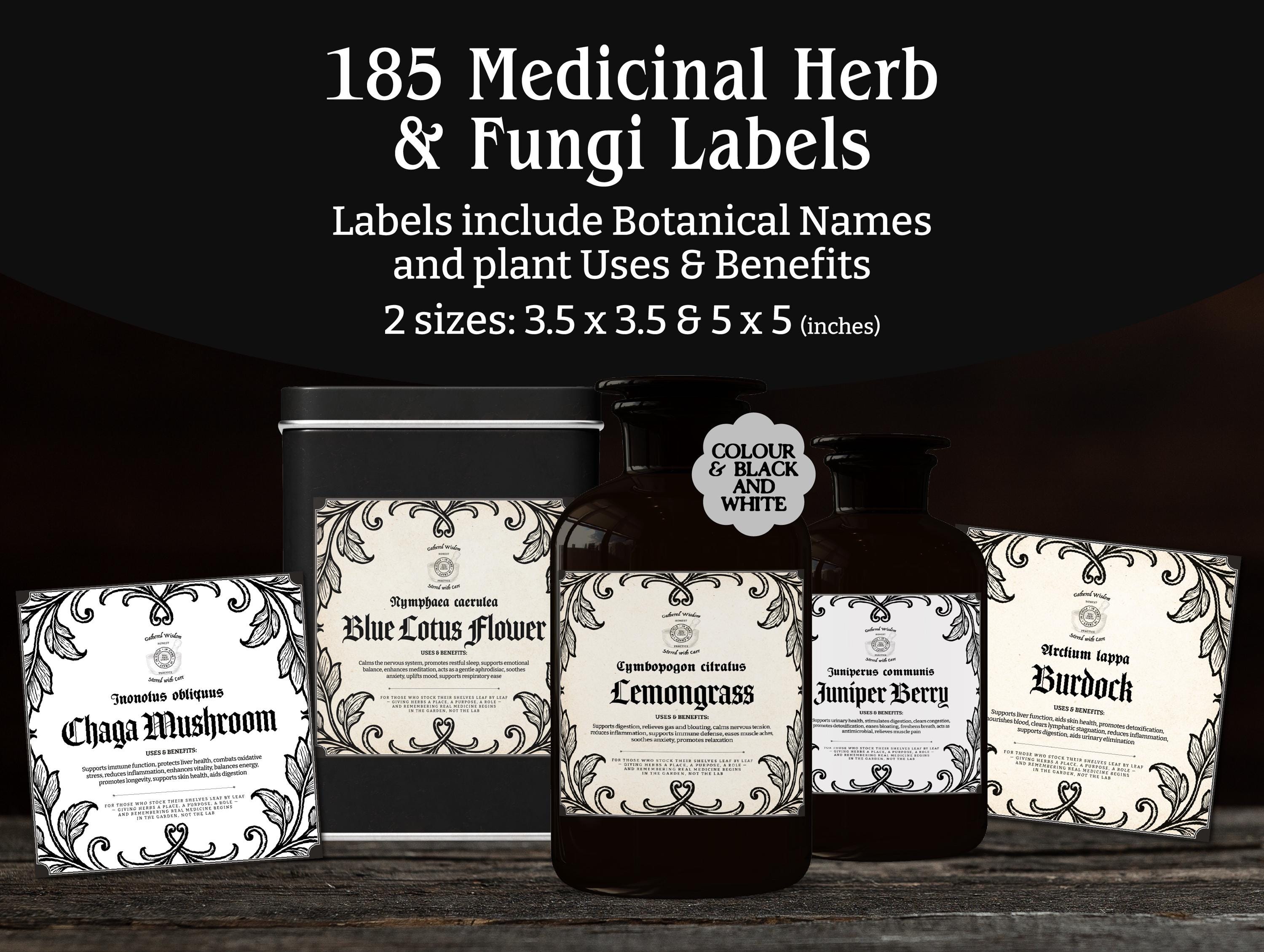 Apothecary Medicinal Dried Herb and Medicinal Mushroom Labels Vintage ...