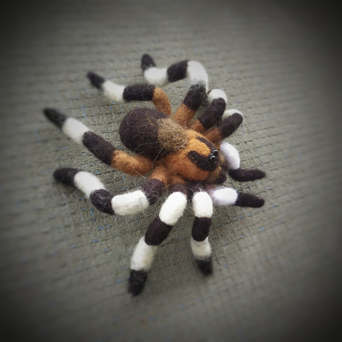 Needle felted spider tarantula Wool spider Felted spider | Etsy
