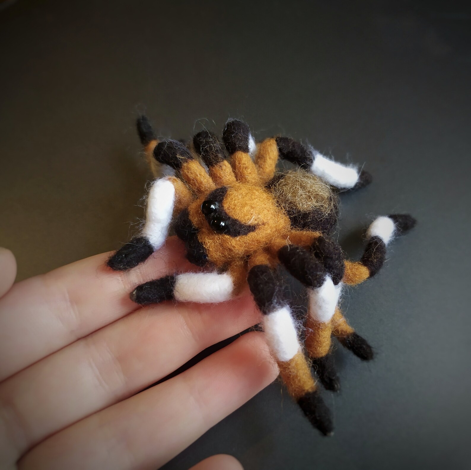 Needle felted spider tarantula Wool spider Felted spider | Etsy