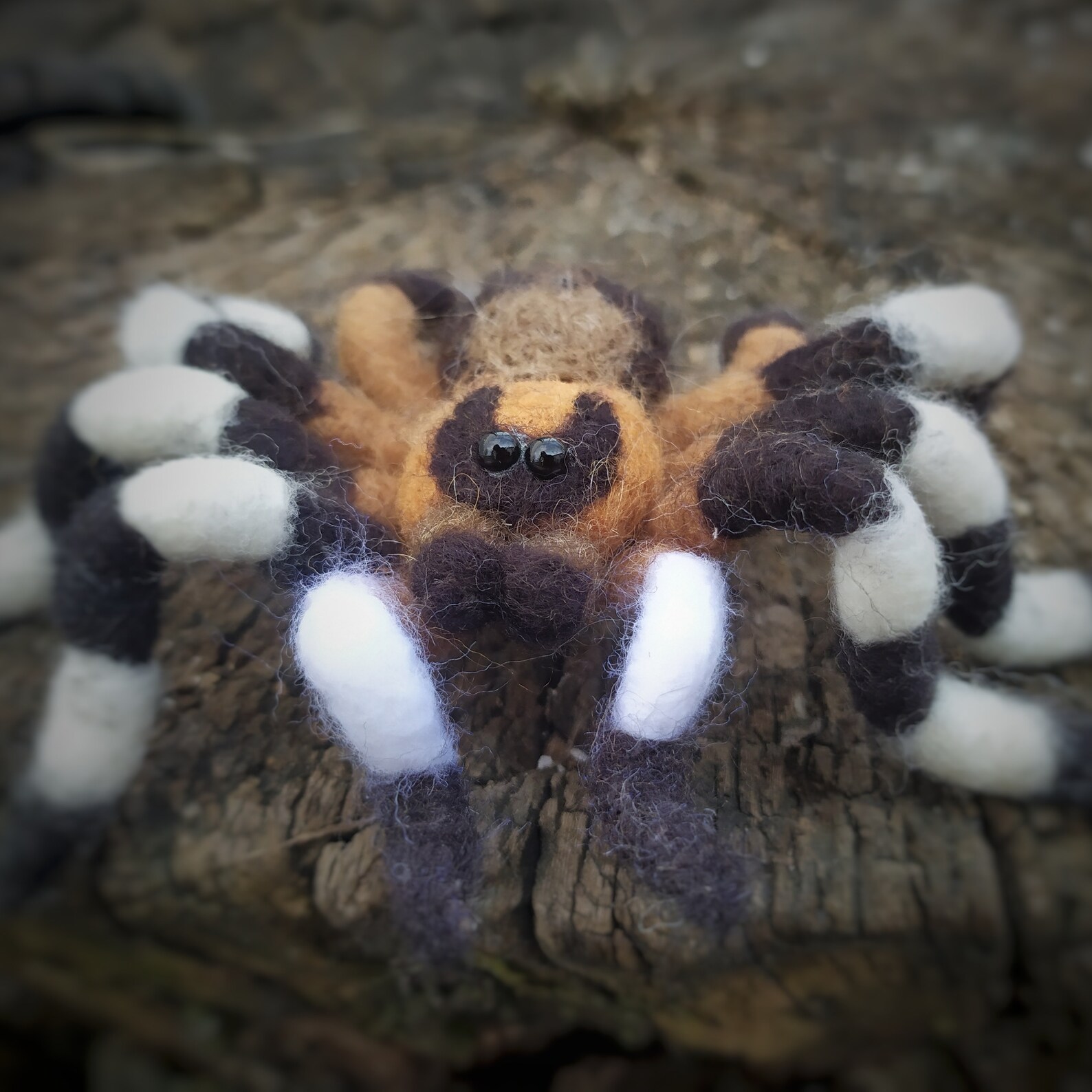 Needle felted spider tarantula Wool spider Felted spider | Etsy