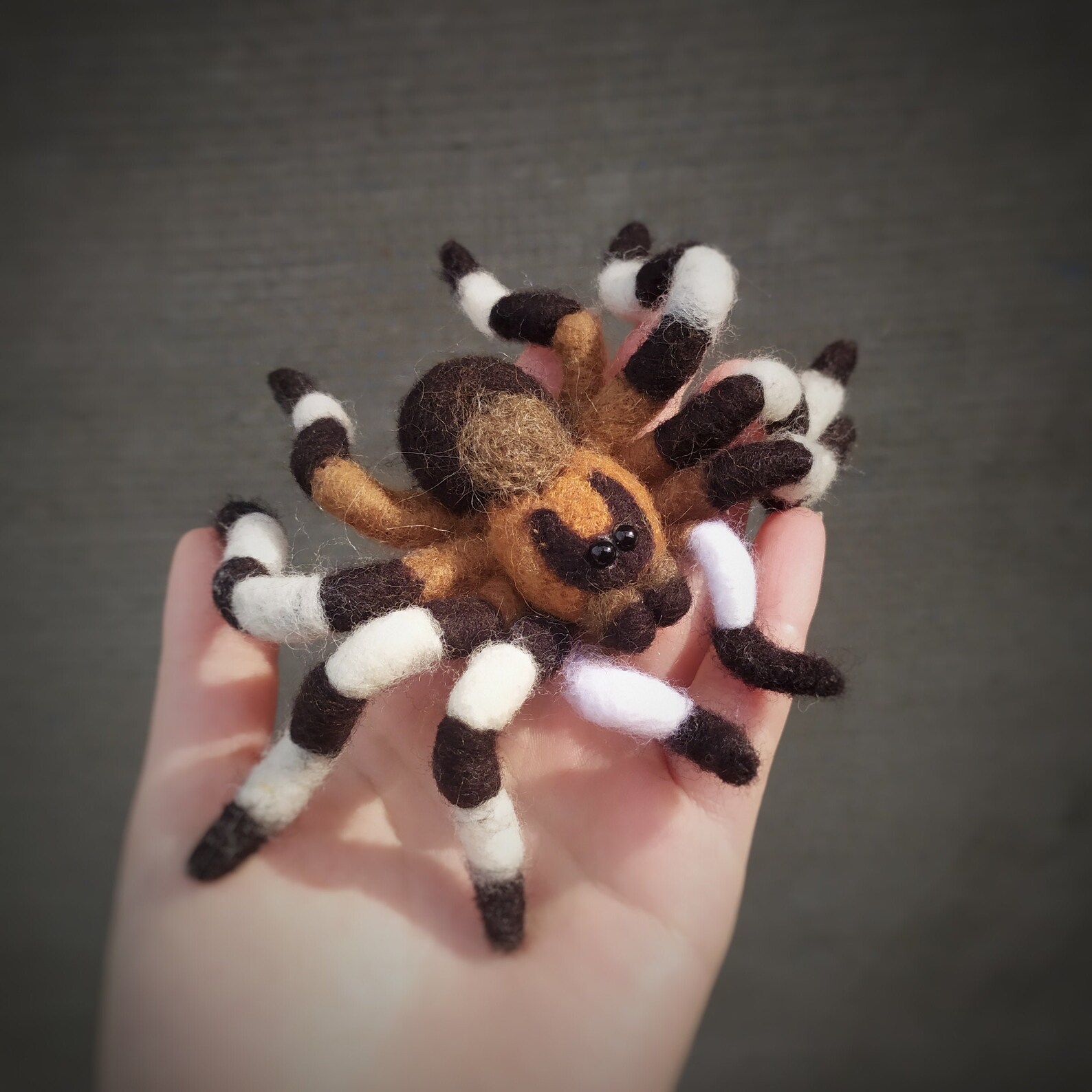 Needle felted spider tarantula Wool spider Felted spider | Etsy