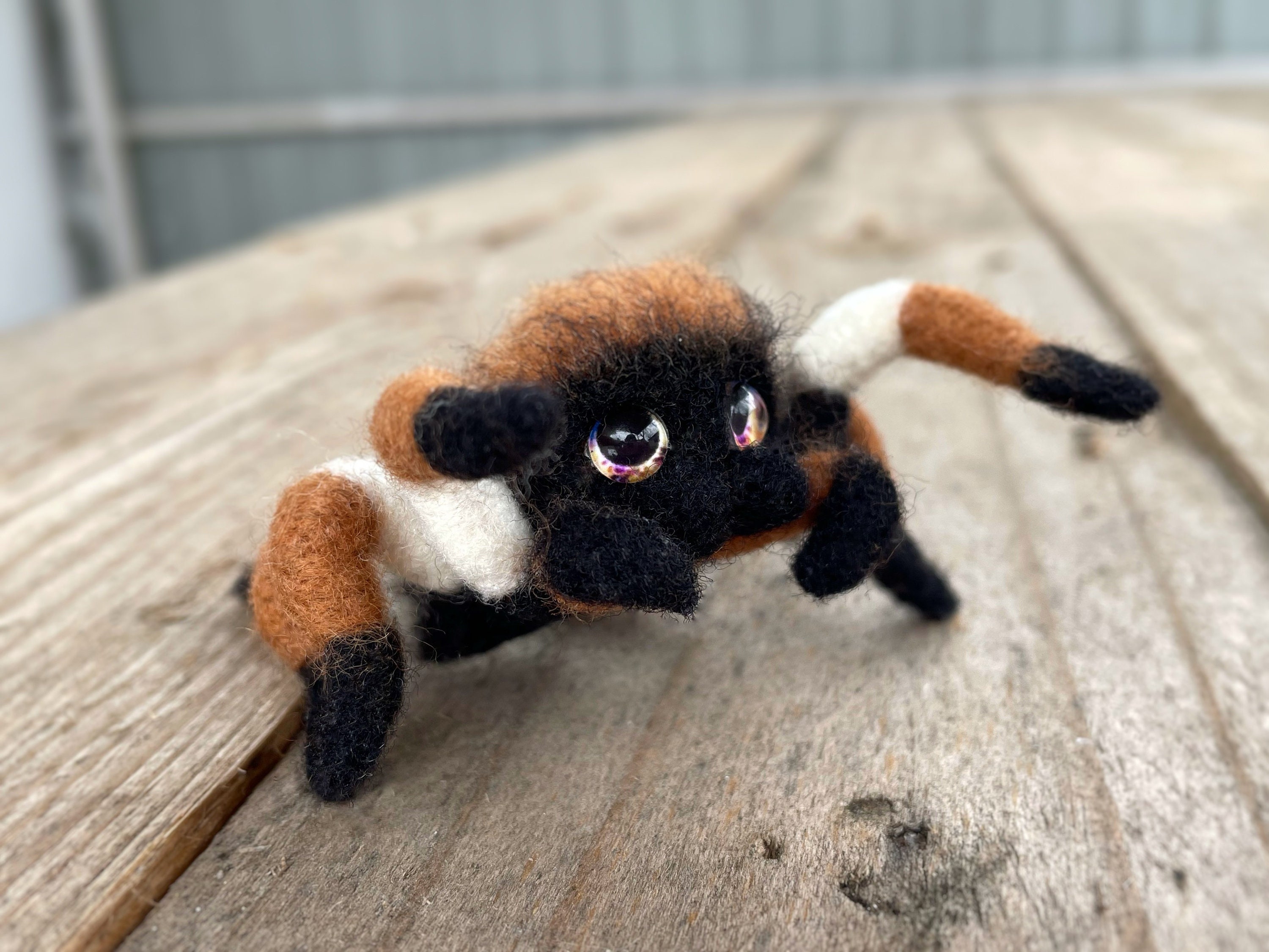 Needle Felted Spider Tarantula Wool Spider Felted Spider - Etsy