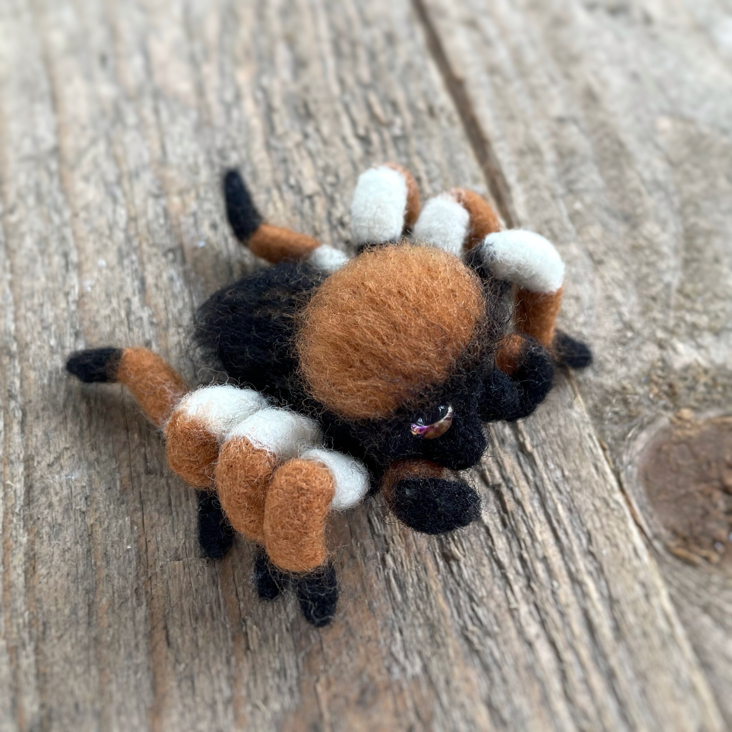 Needle Felted Spider Tarantula Wool Spider Felted Spider - Etsy
