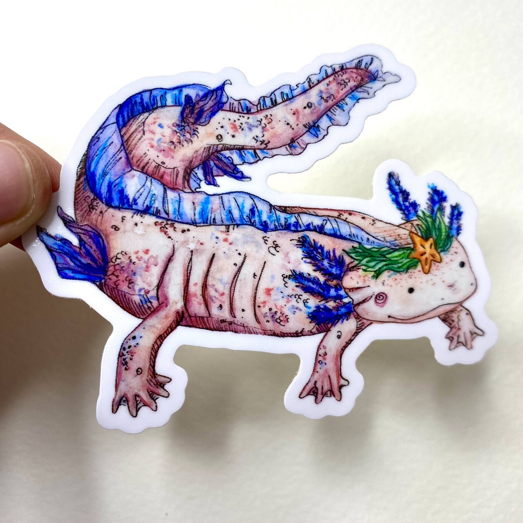 Axolotl Sticker Decal, Cute Stickers, Axolotl Lover Gift, Vinyl ...