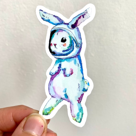 Astronaut Rabbit