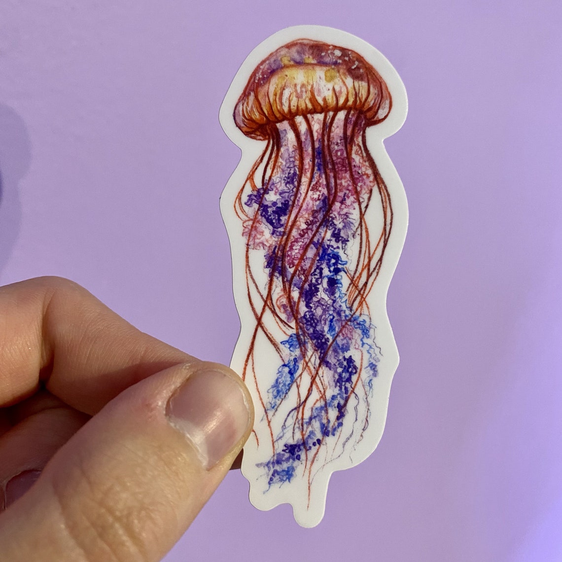 Jellyfish Vinyl Sticker Waterproof Decal Jelly Art - Etsy