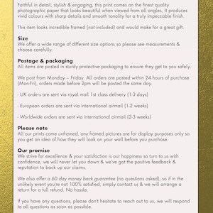 Stephen Thompson "wonderboy" - Photo Print Poster - Pre Signed - Etsy