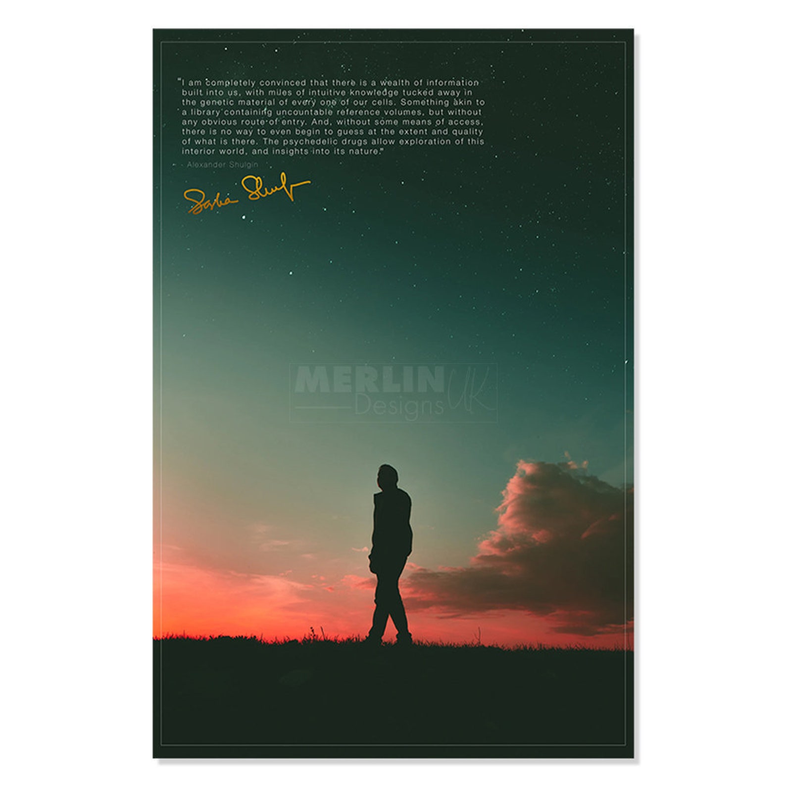 Alexander Shulgin sasha Quote Photo Print Poster | Etsy