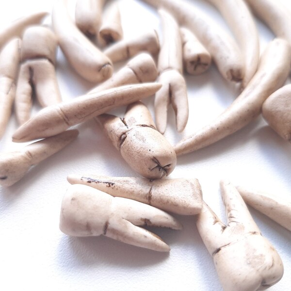 Fake Human Teeth - Etsy