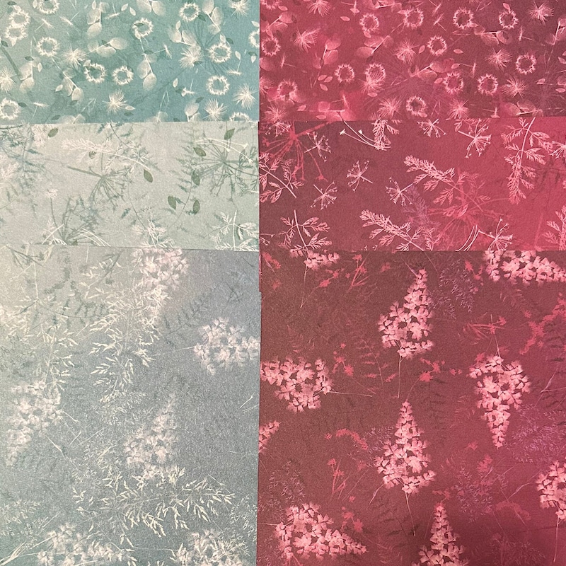 Pretty Plant Paper - Etsy