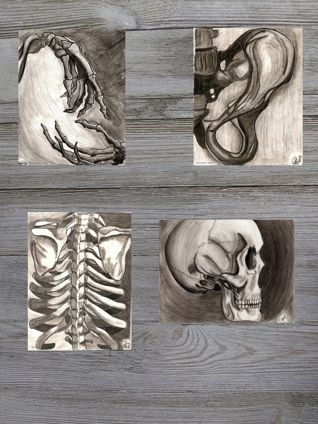 Skeletal Skeletons Pelvis Rib Cage Skull Hands - Etsy