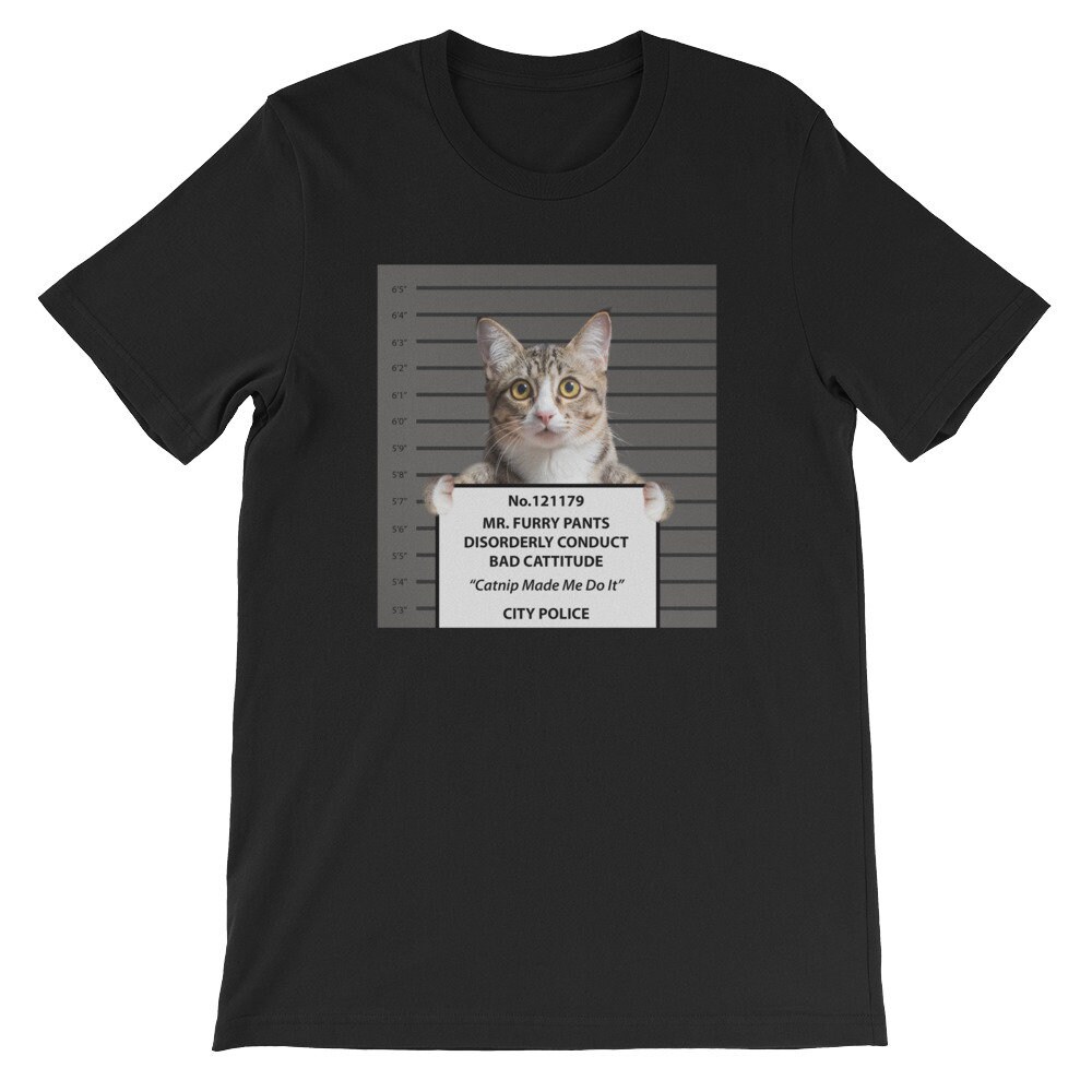 Cat Lover Shirt Funny Cat Shirt Funny Cat T-Shirt Cat | Etsy