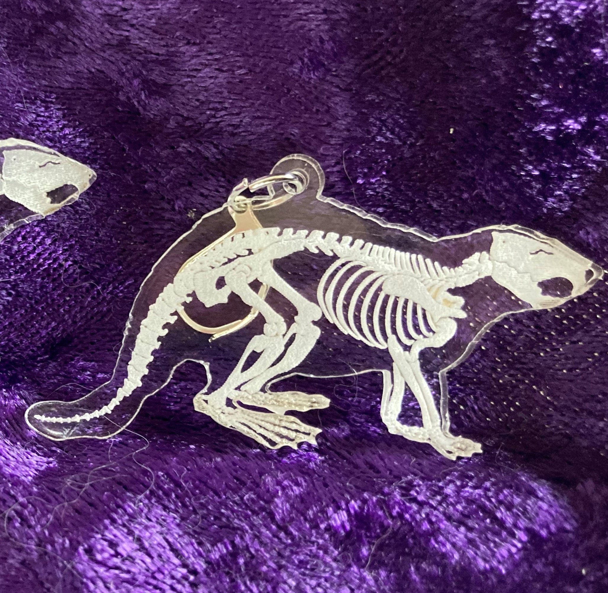 Beaver Skeleton Halloween
