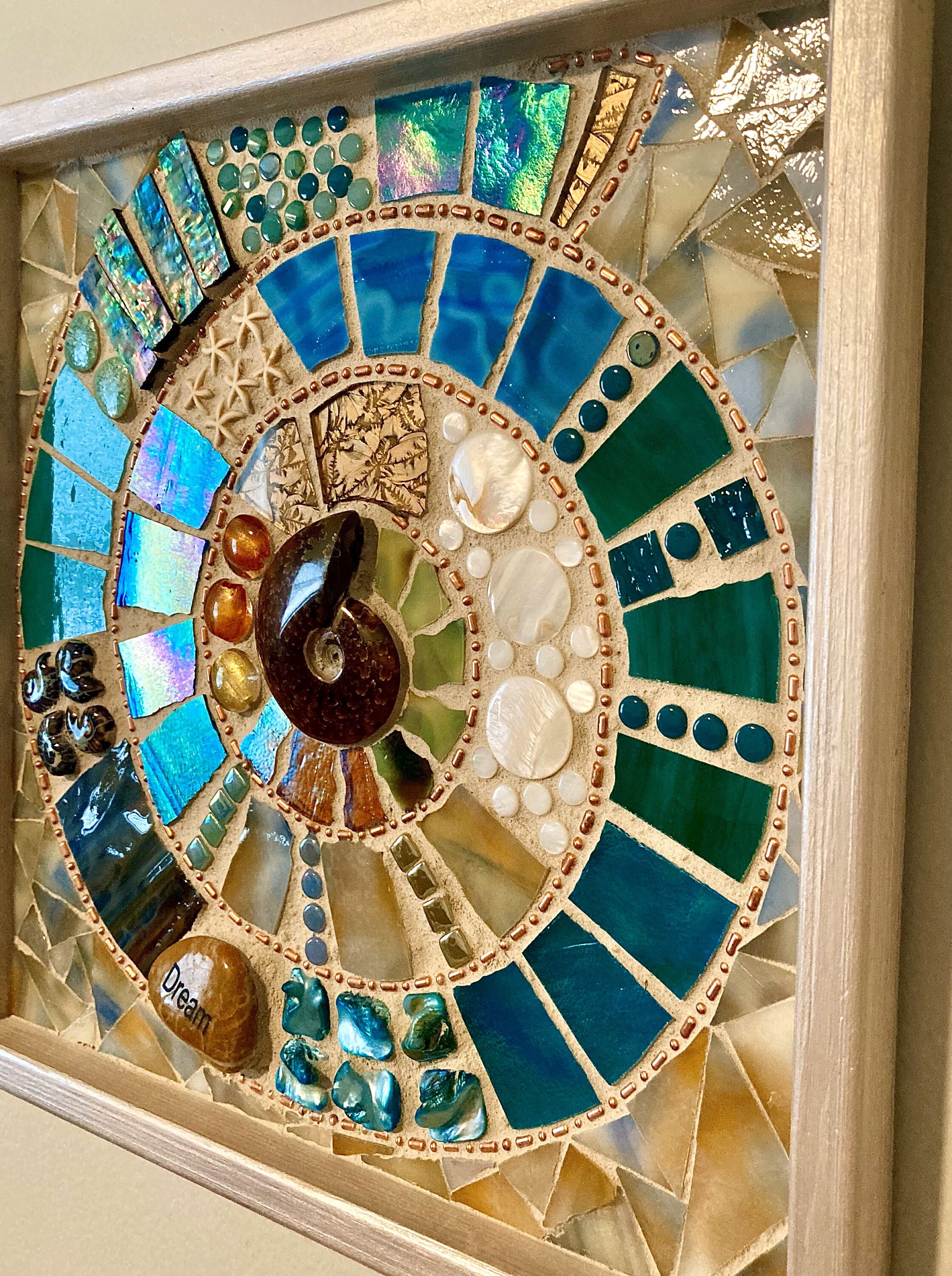 Ammonite Dream - Etsy
