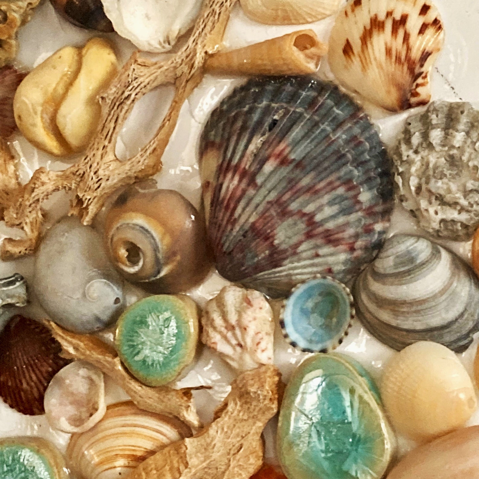 Square Framed Seashell Collage Wall Panel Coastal Wall Decor Natural ...