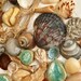 Square Framed Seashell Collage Wall Panel; Coastal Wall Decor; Natural ...