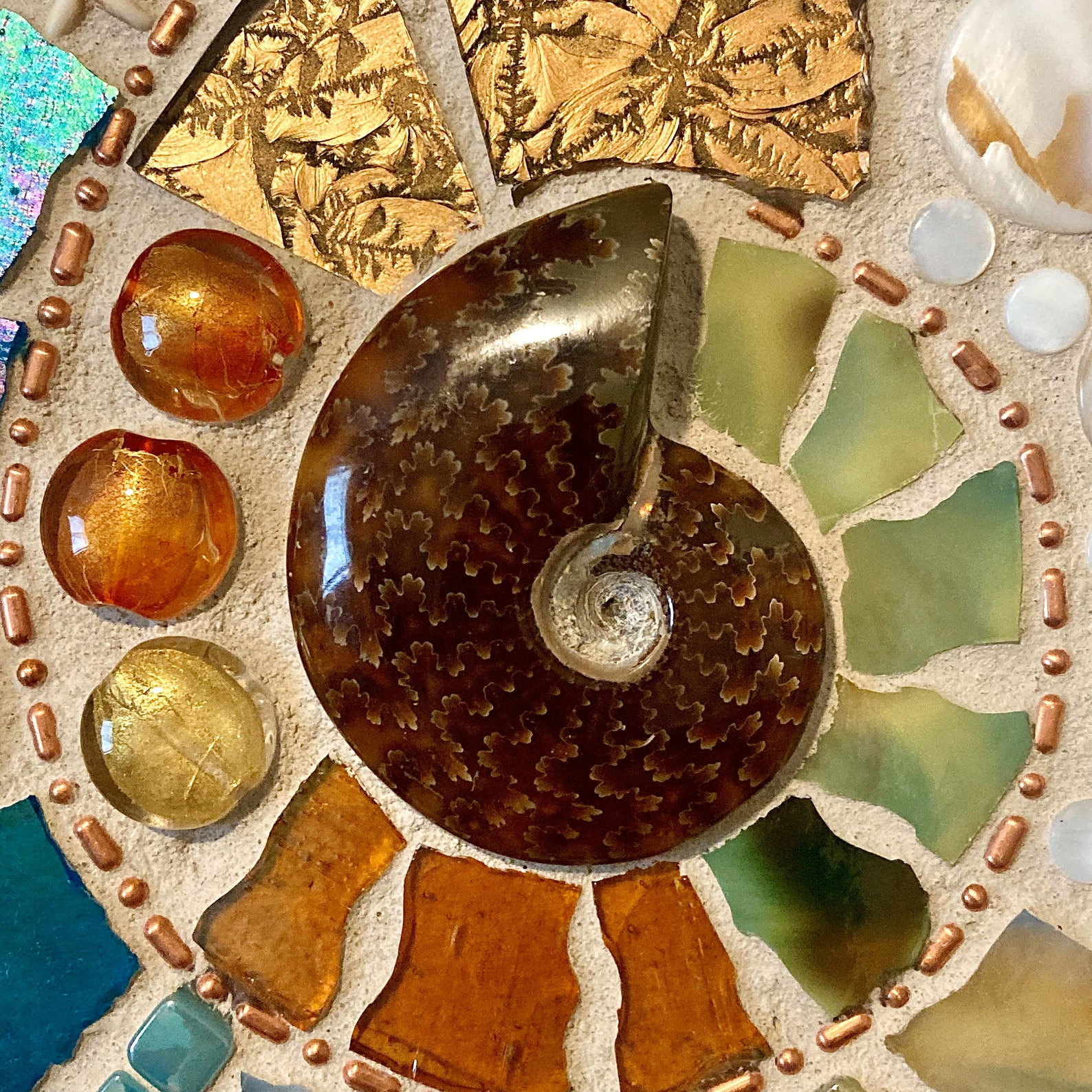 Ammonite Dream - Etsy