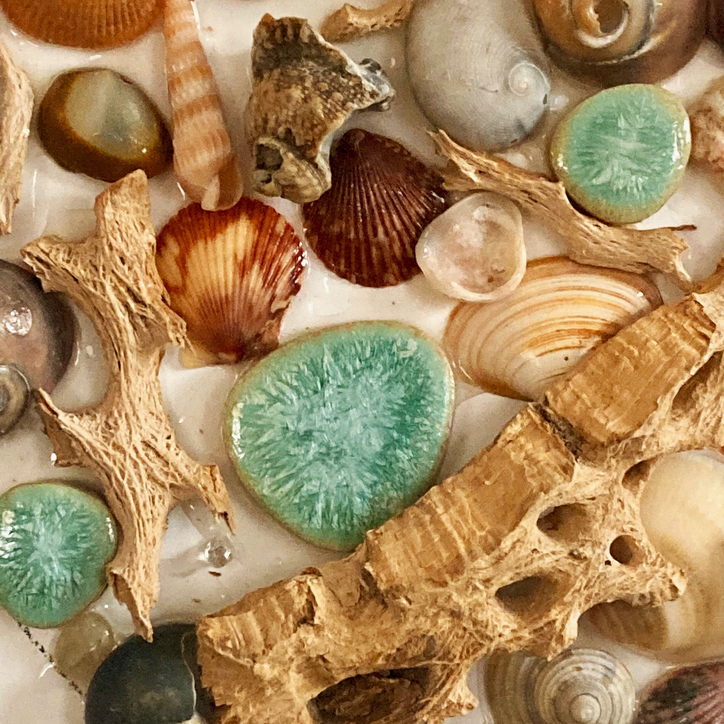 Square Framed Seashell Collage Wall Panel Coastal Wall Decor Natural ...