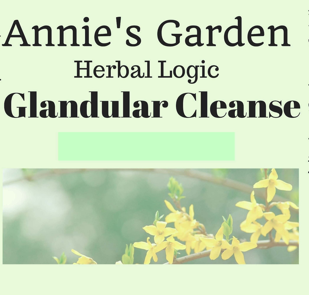 Glandular Cleanse Organic Herbal Tincture - Herbal Extract - Etsy