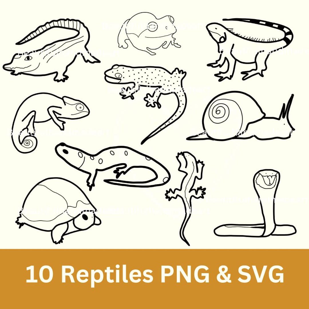 Reptile Hand Drawn Doodle, Lizard, Gecko, Snail, Snake, Animal ...
