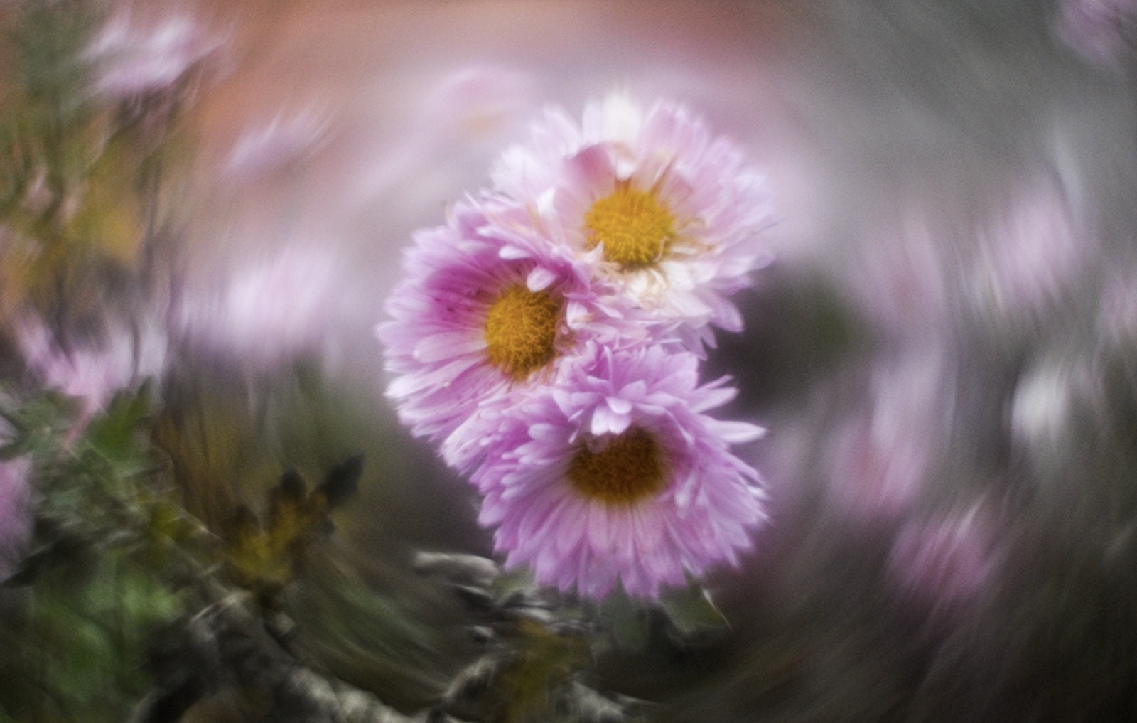 Petzval Helios-44М-4 58mm F2 Lens, Modified for Petzval Style Bokeh With Any Adapter of Your ...