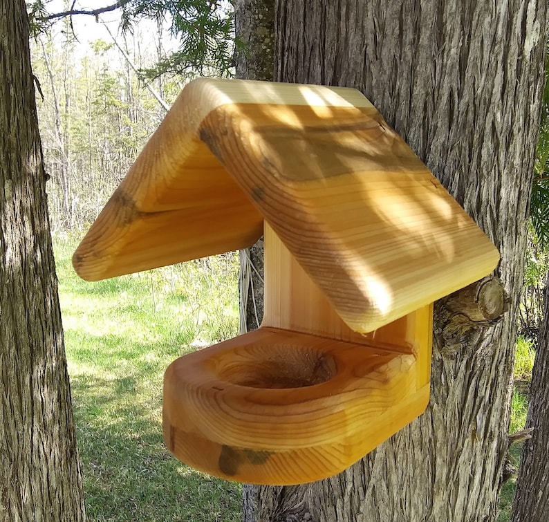Handmade Cedar Hummingbird Nesting Shelf: Tiny Bird House - Etsy