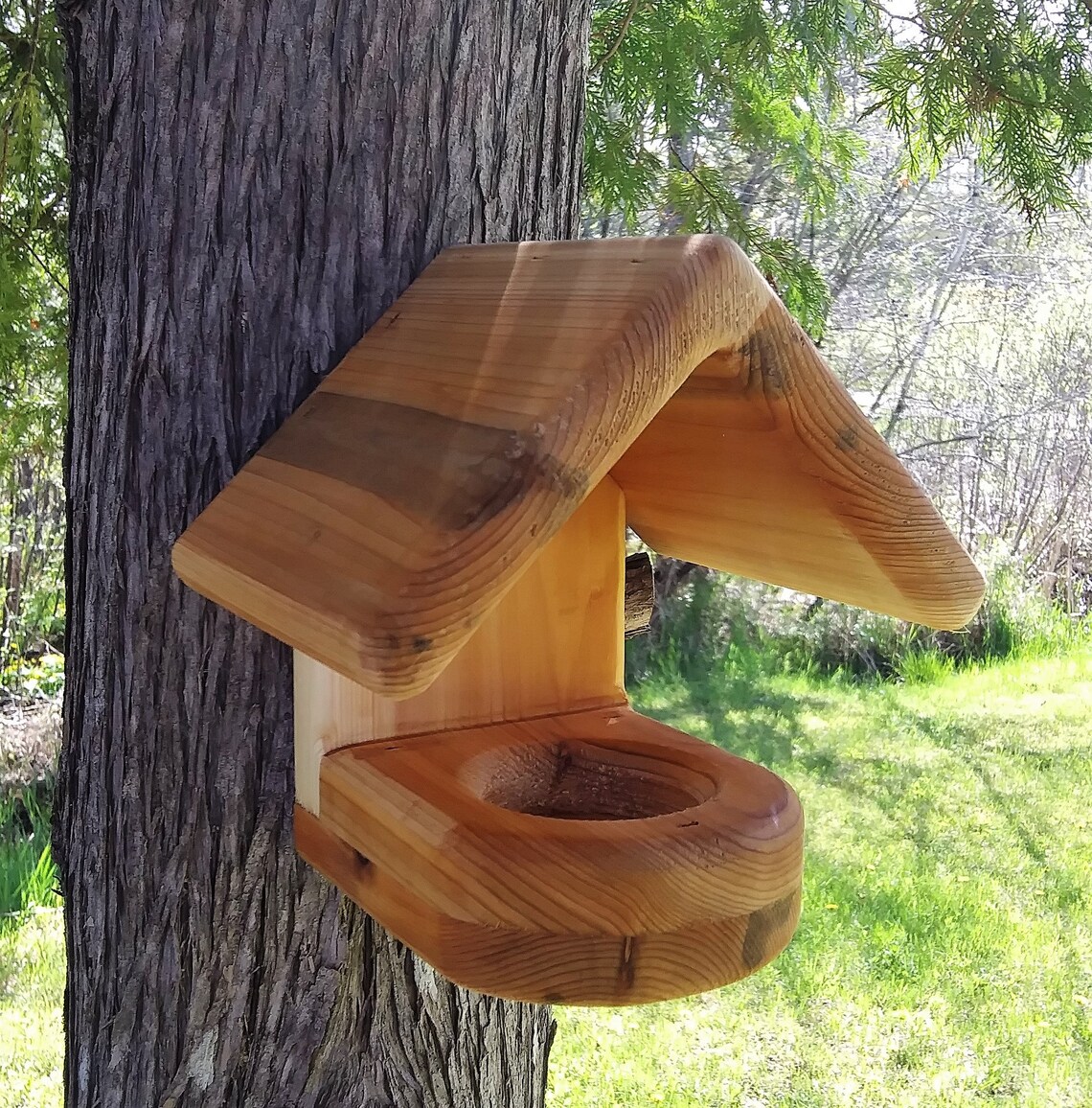 Cute Decorative Tiny Hummingbird Nesting Shelf Cedar Wood | Etsy