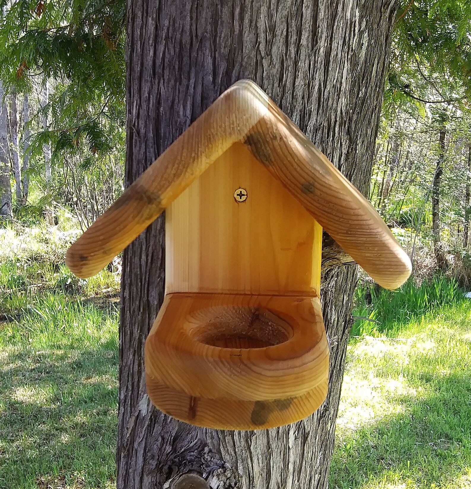 Cute Decorative Tiny Hummingbird Nesting Shelf Cedar Wood | Etsy