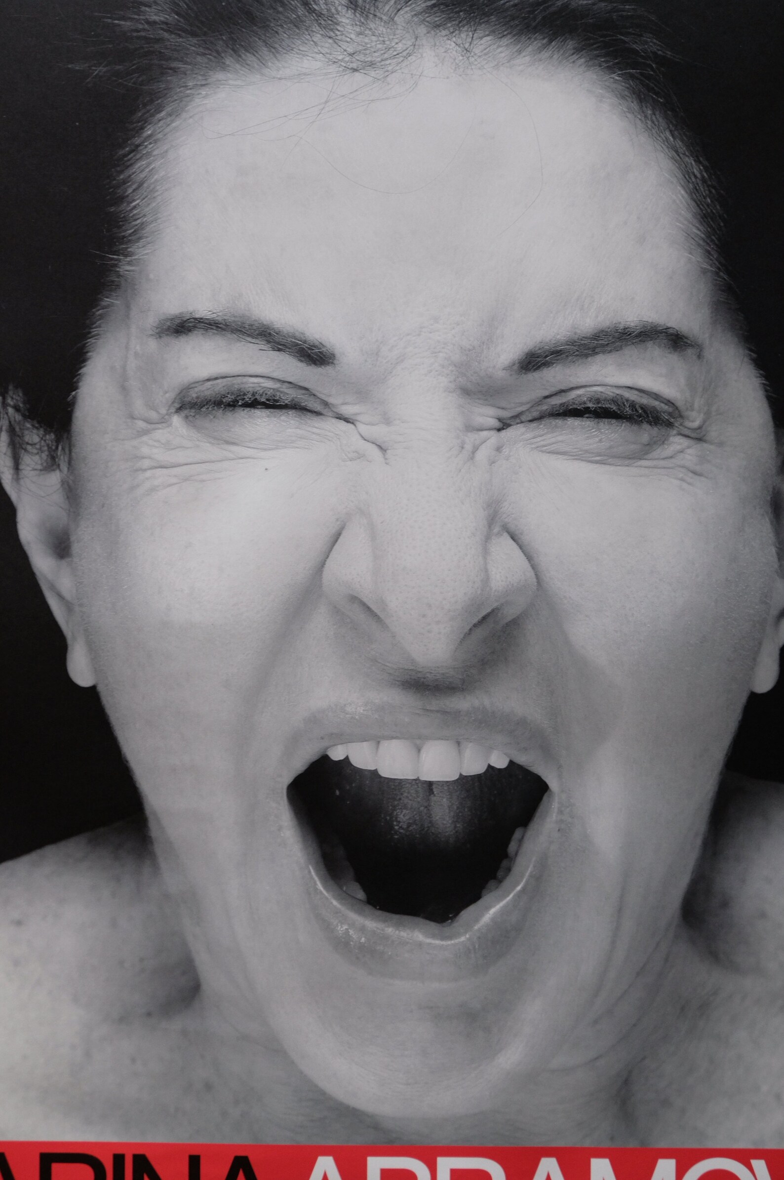 Marina Abramović a Mayor Retrospective Stedelijk Museum Amsterdam - Etsy