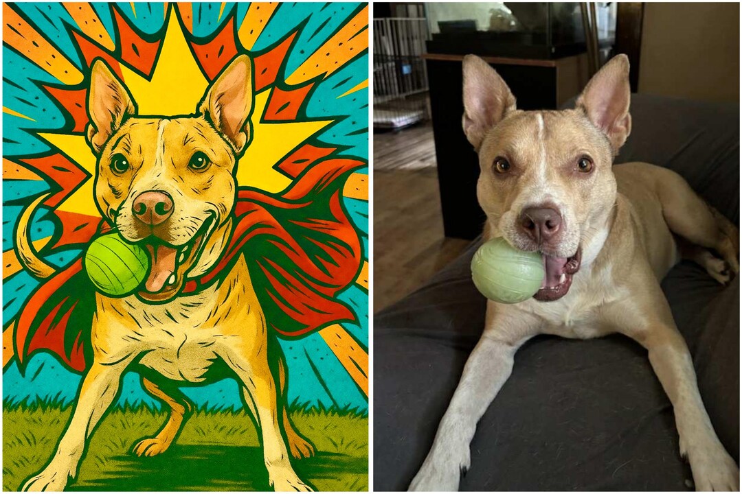 Custom Comic Book Pet Portrait | Superhero Dog Art (digital Download ...