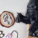 BIGFOOT SASQUATCH DISPLAY, Unique Cryptid Gift, Hairy Friend, Footprint ...