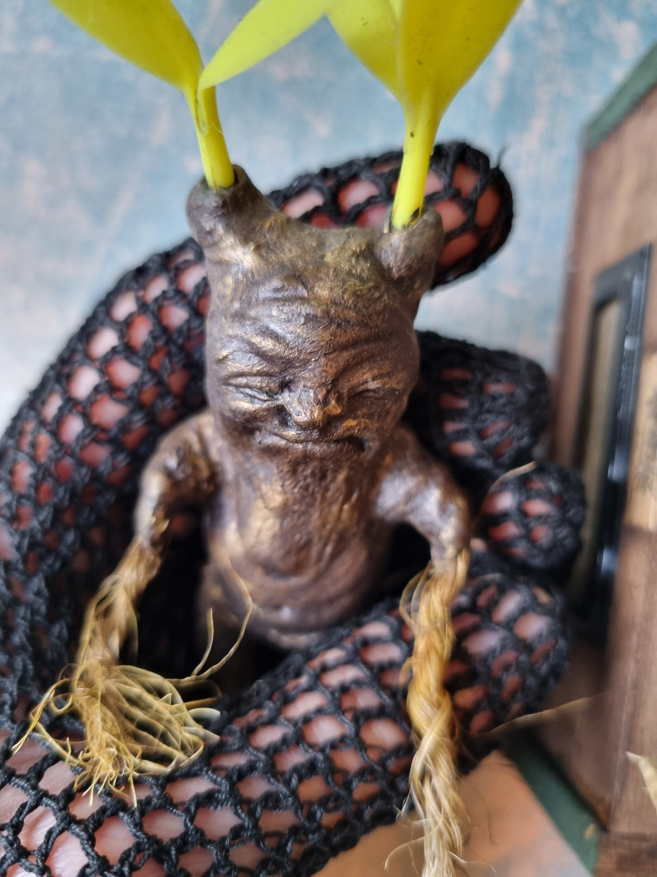 Mandrake Seedling, Giftbox, Mandragora, Magical Plant - Etsy
