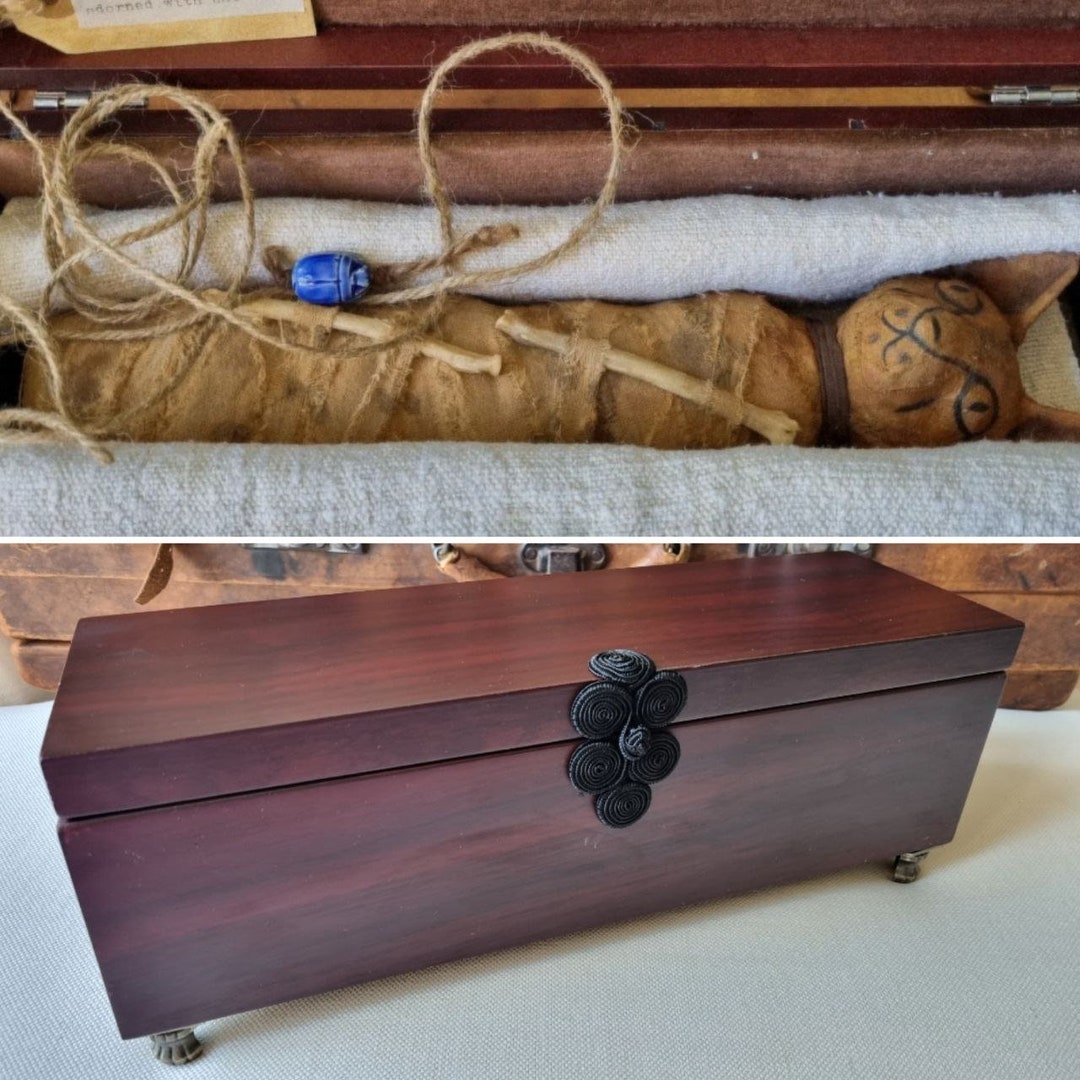 EGYPTIAN CAT MUMMY in Display Box, Faux Taxidermy, Bastet, Unique Cat ...