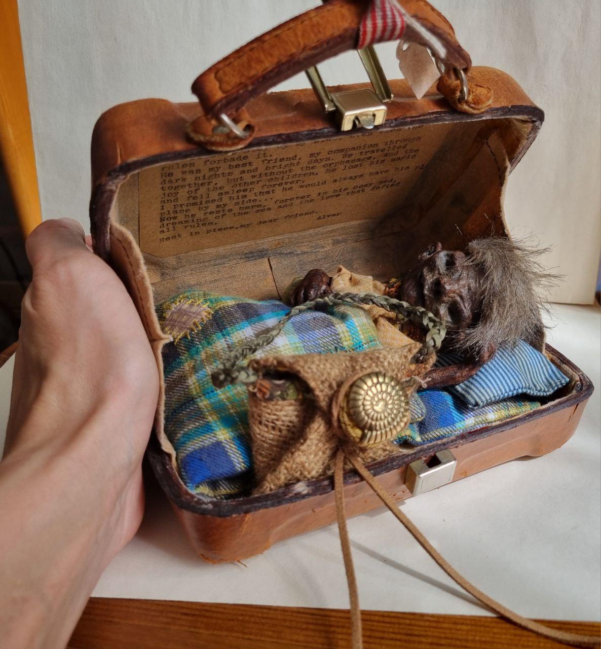 MUMMIFIED ORPHANAGE SPRITE in Small Leather Suitcase Bed, Curiosity ...