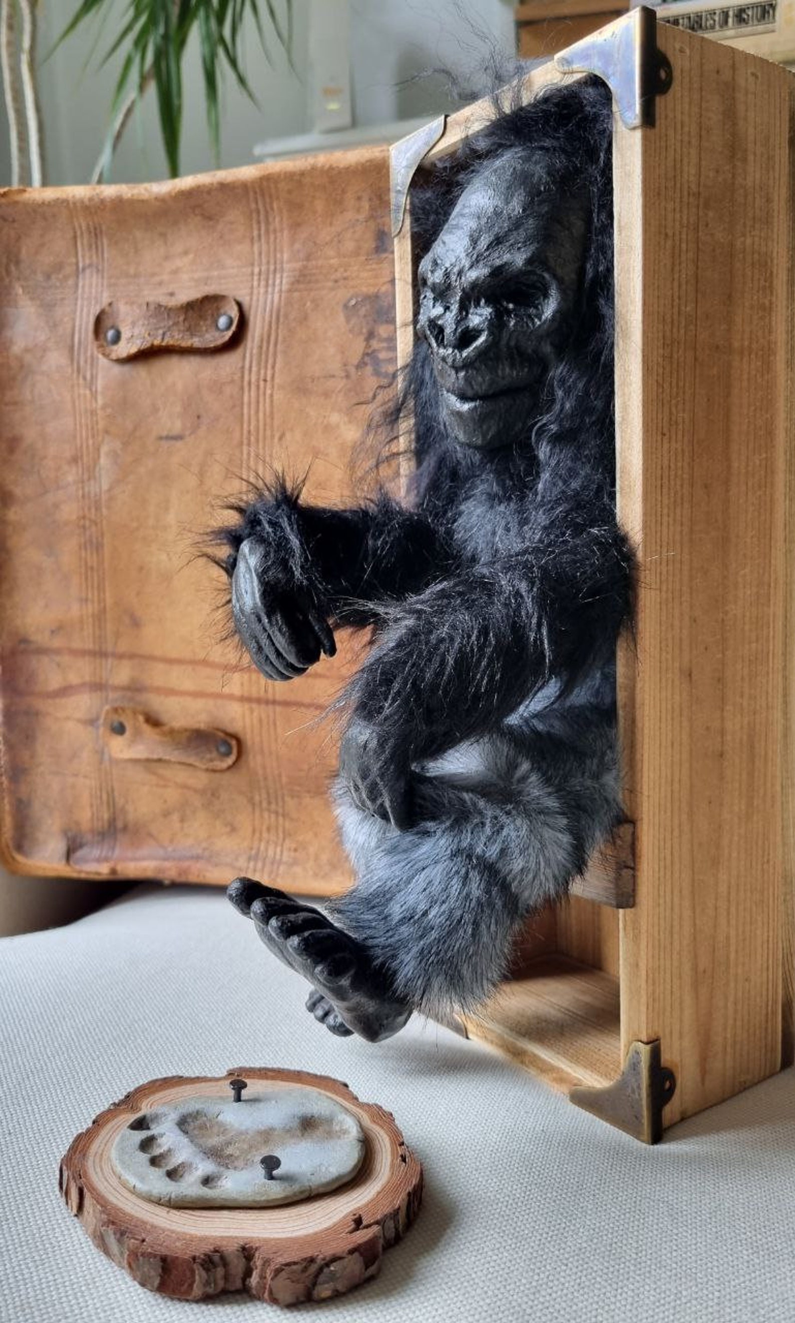 BIGFOOT SASQUATCH DISPLAY, Unique Cryptid Gift, Hairy Friend, Footprint ...