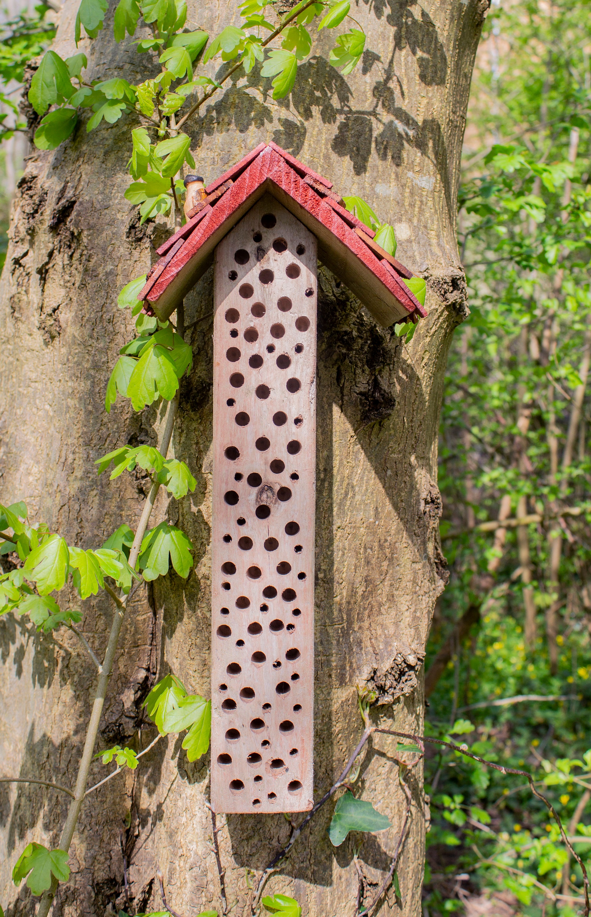 Reclaimed wood solitary bee hotel / bee house / insect hotel/ | Etsy