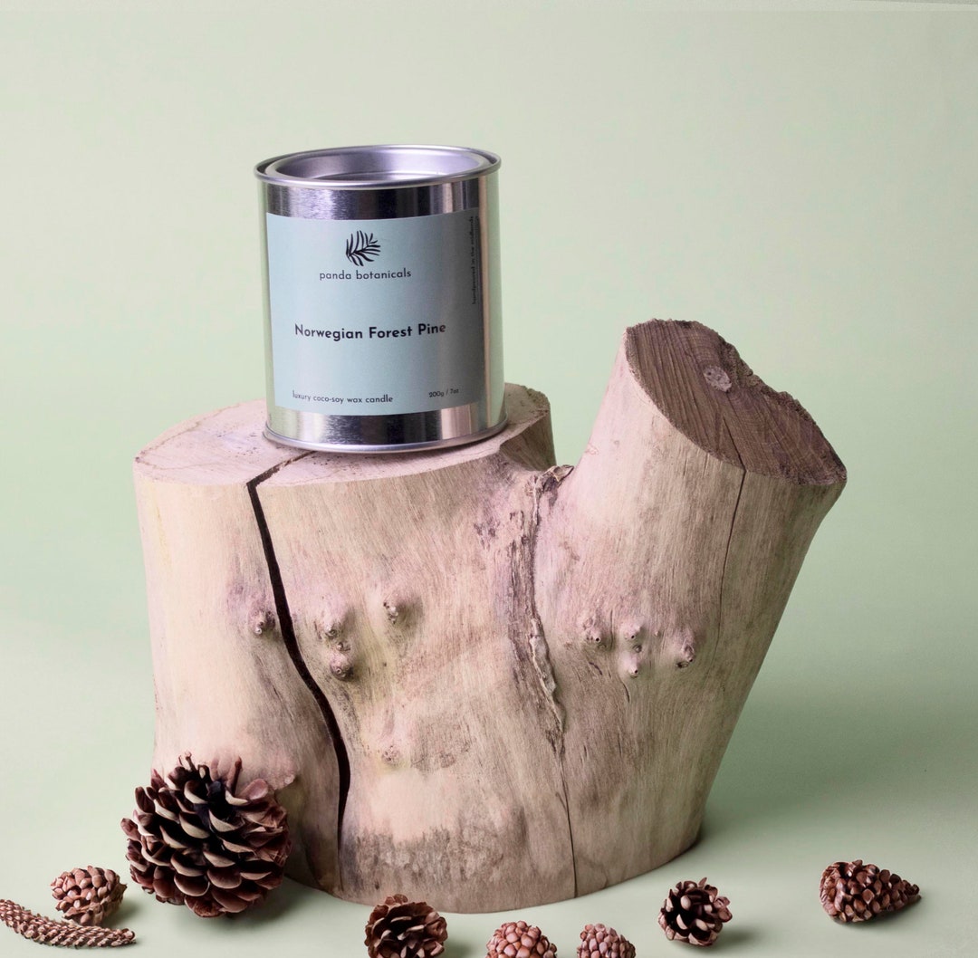 Norwegian Mist & Forest Pine Soy Wax Candle - Eco Tin Candle - Etsy