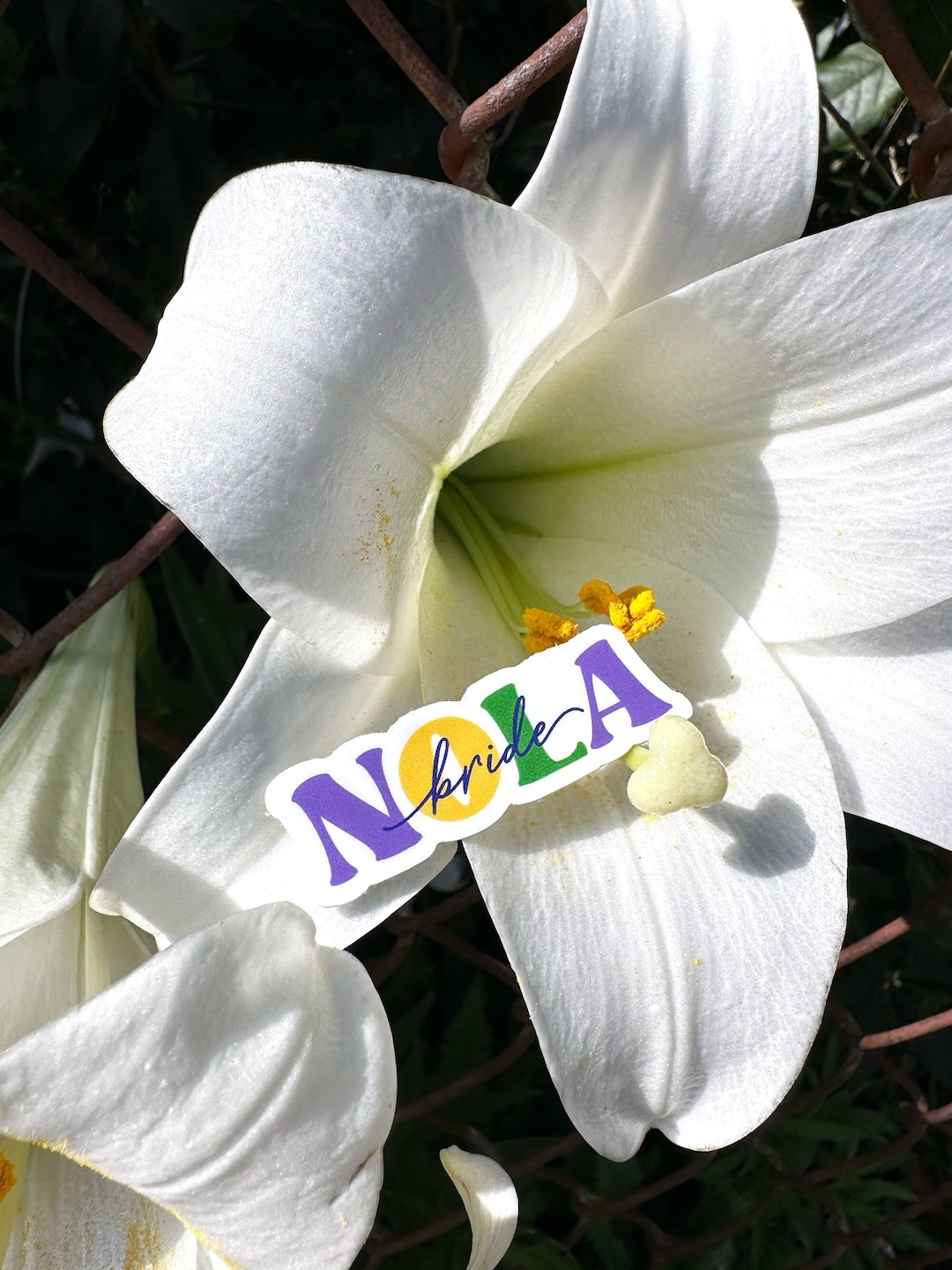 NOLA Bride Sticker // Vinyl Die-cut Sticker // Waterproof Sticker ...