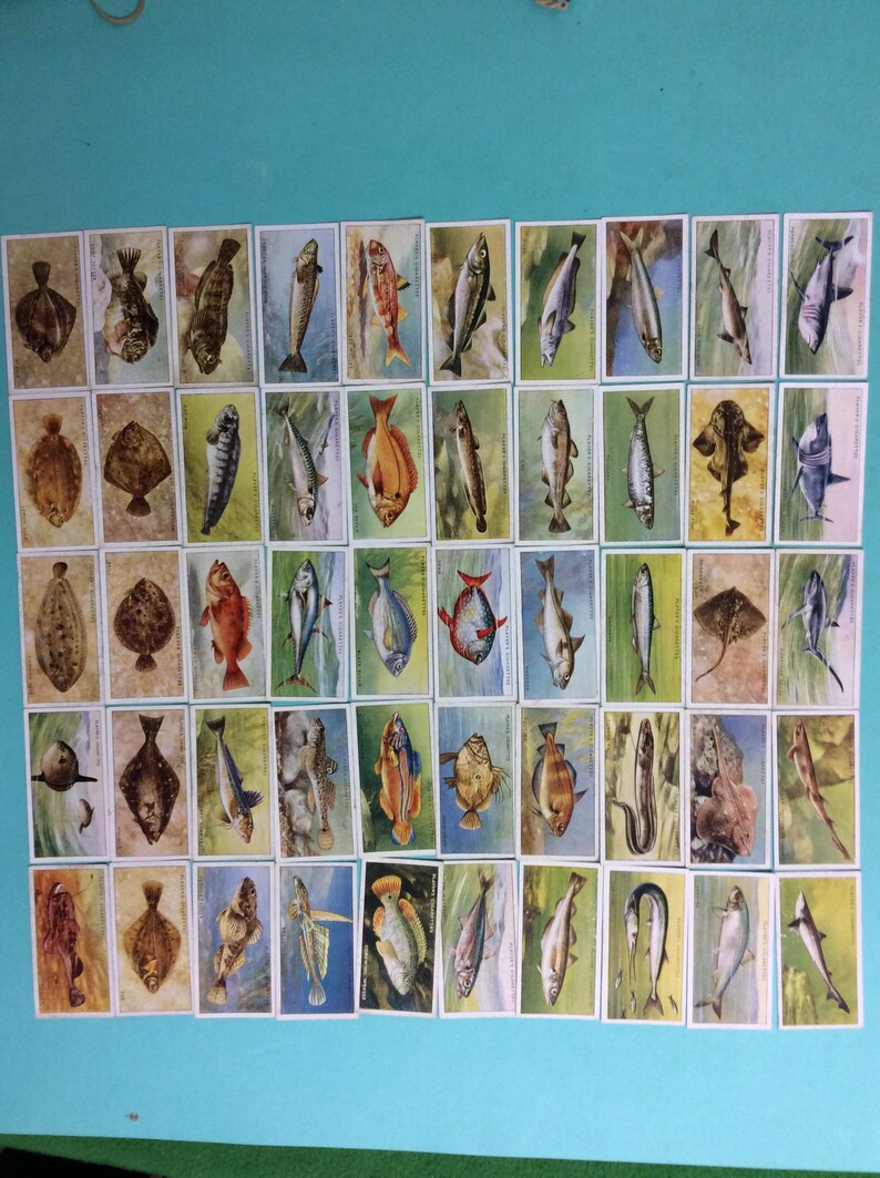 Cigarette Cards Fishes of the Sea - Etsy