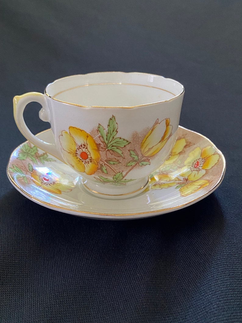 Salisbury Crown China - Etsy