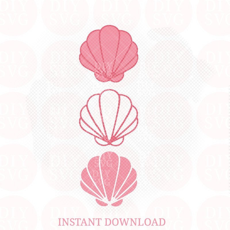 Shell Svg - Etsy
